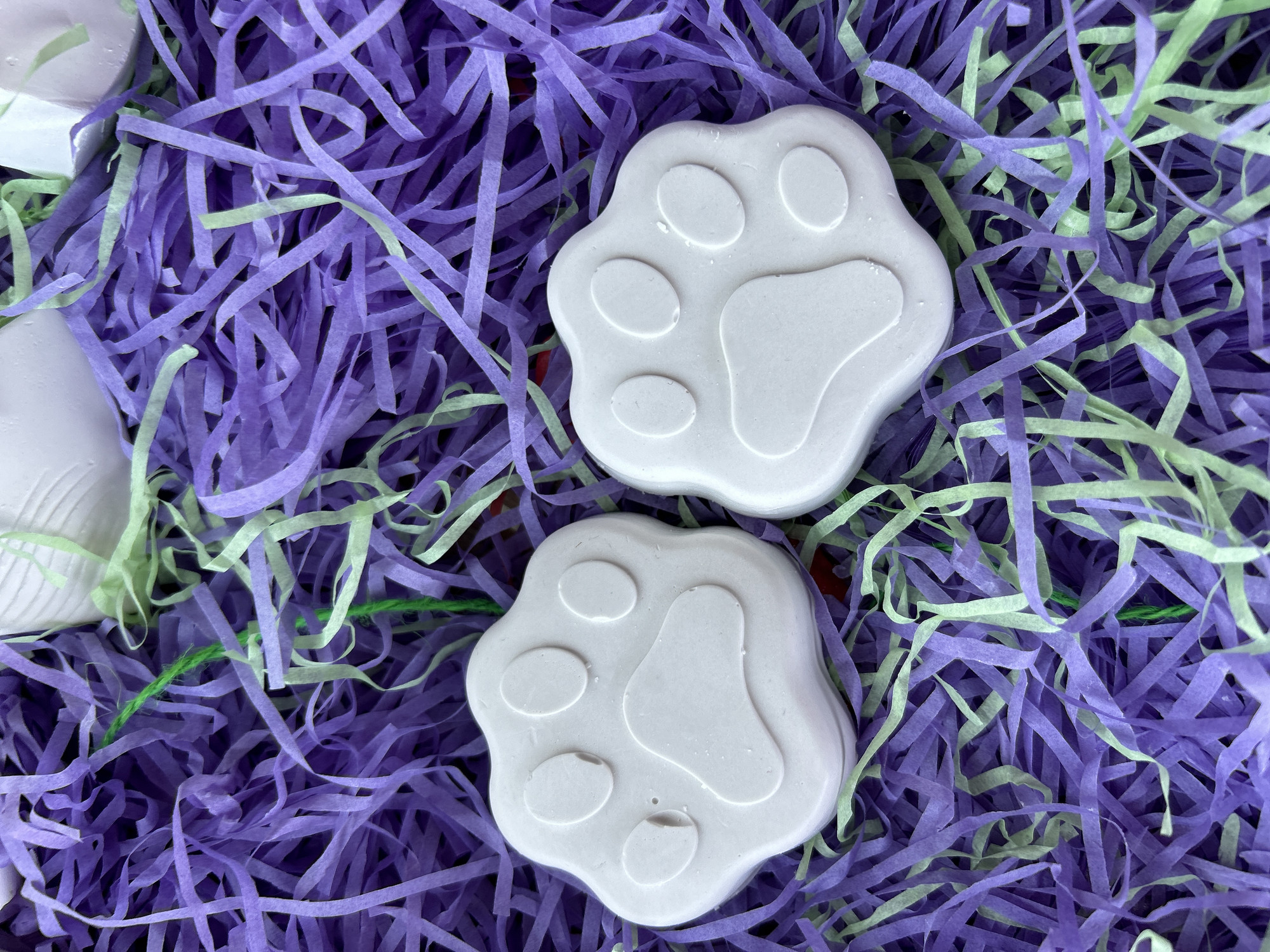 Gypsum fun UAE | Paw (P11)