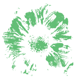 Era (Example) | Homepage